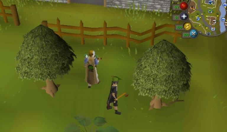 OSRS Woodcutting Training Guide: Best Woodcutting Locations - Rune Fanatics