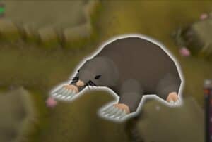 Giant Mole OSRS Guide [2022]: Go The Mole Nine Yards! - Rune Fanatics